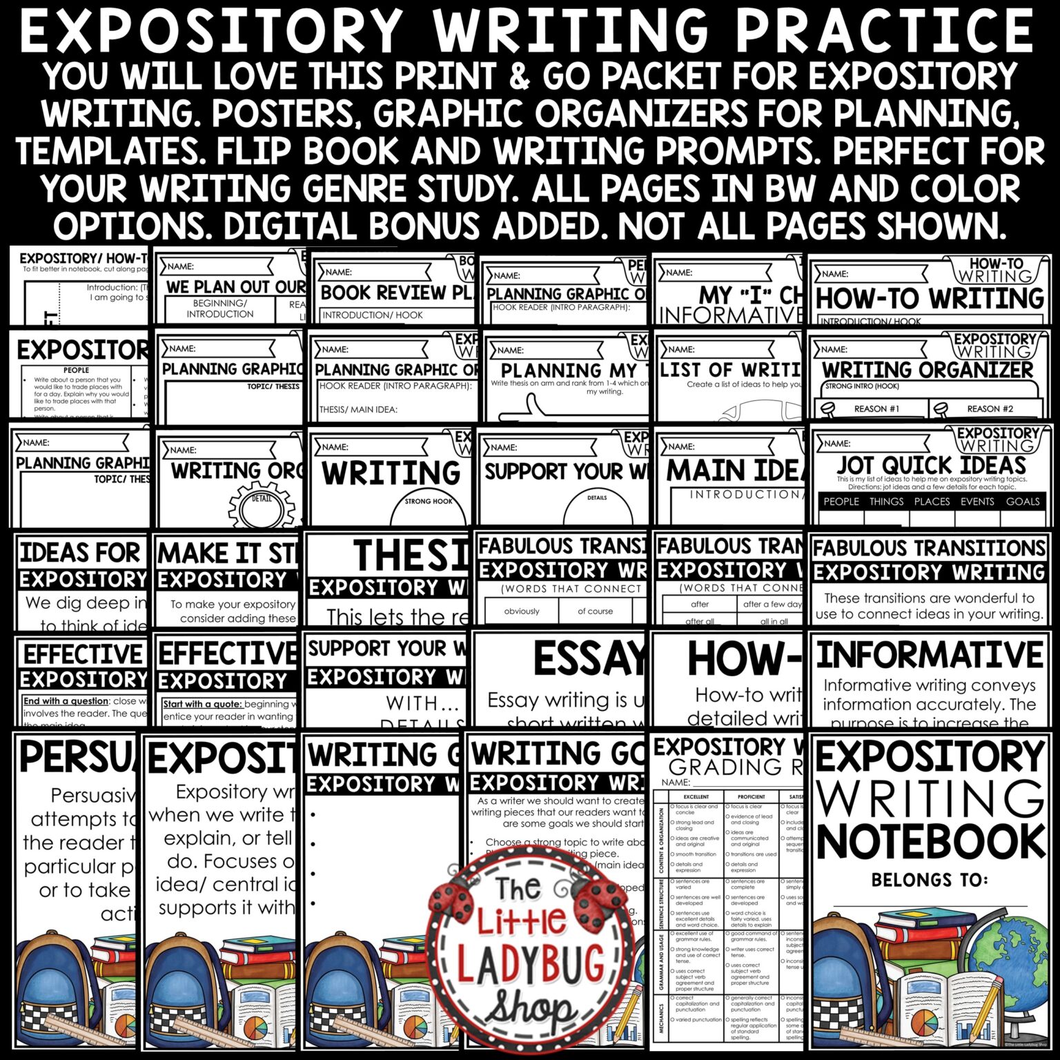 Expository Informative Writing Prompts Unit - The Little Ladybug Shop