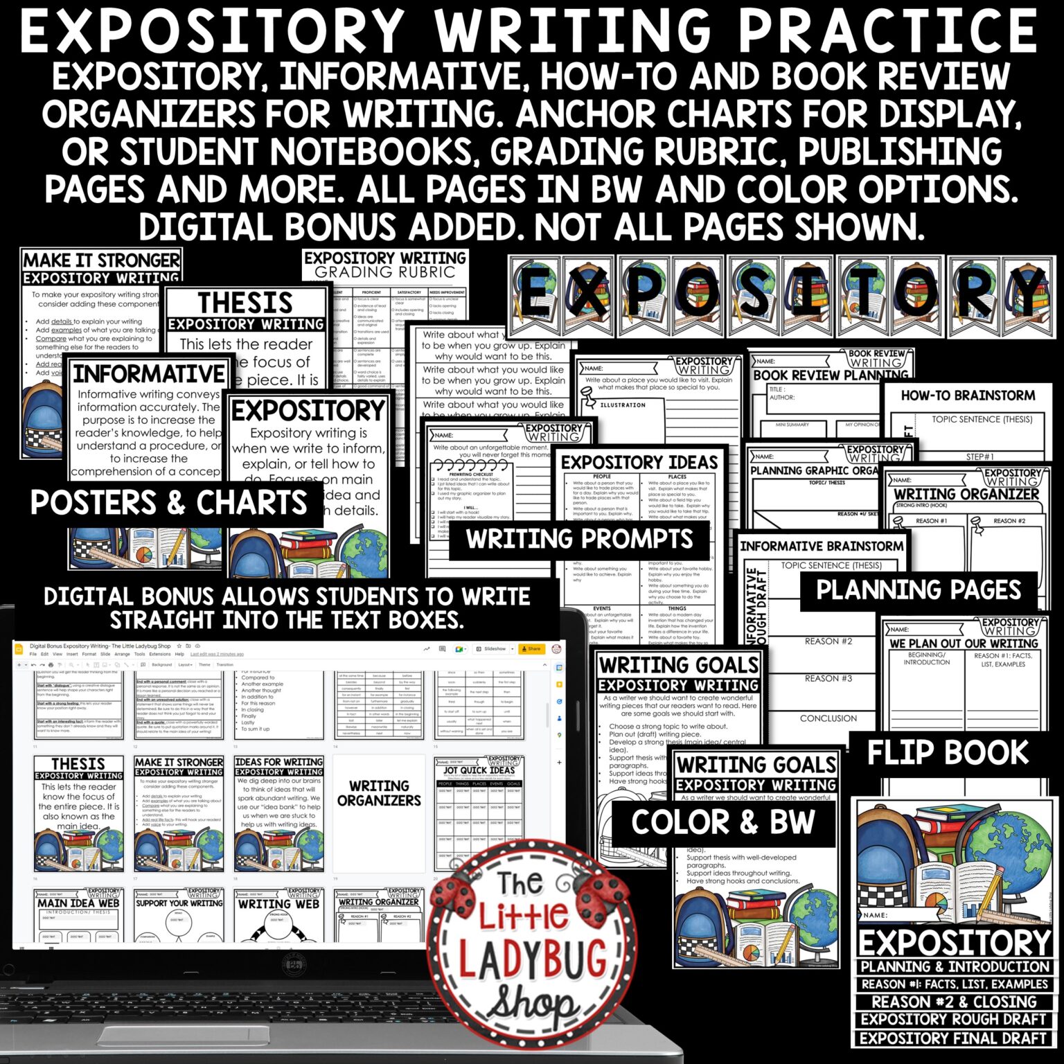 Expository Informative Writing Prompts Unit - The Little Ladybug Shop