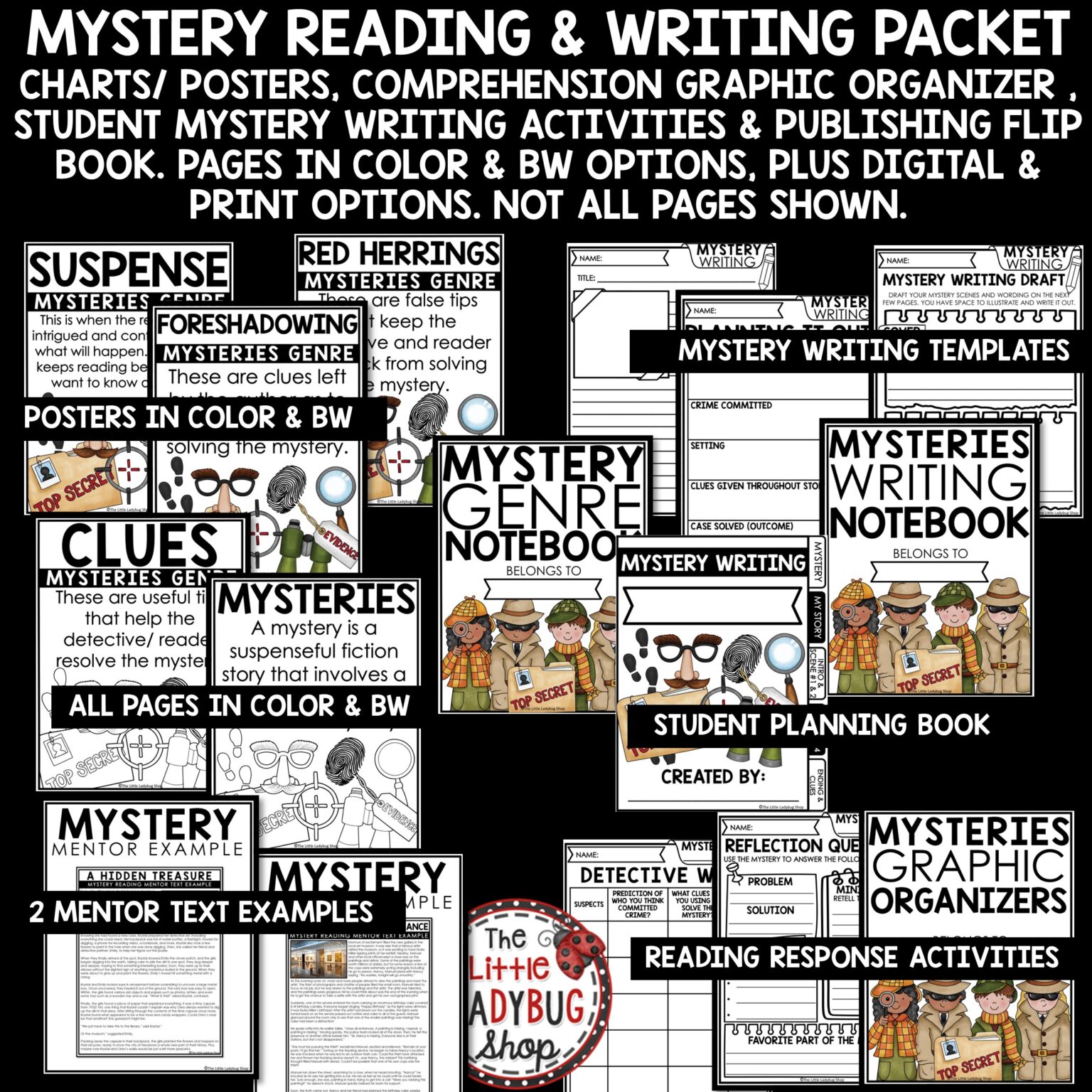 Mystery Genre Reading Writing Unit - The Little Ladybug Shop
