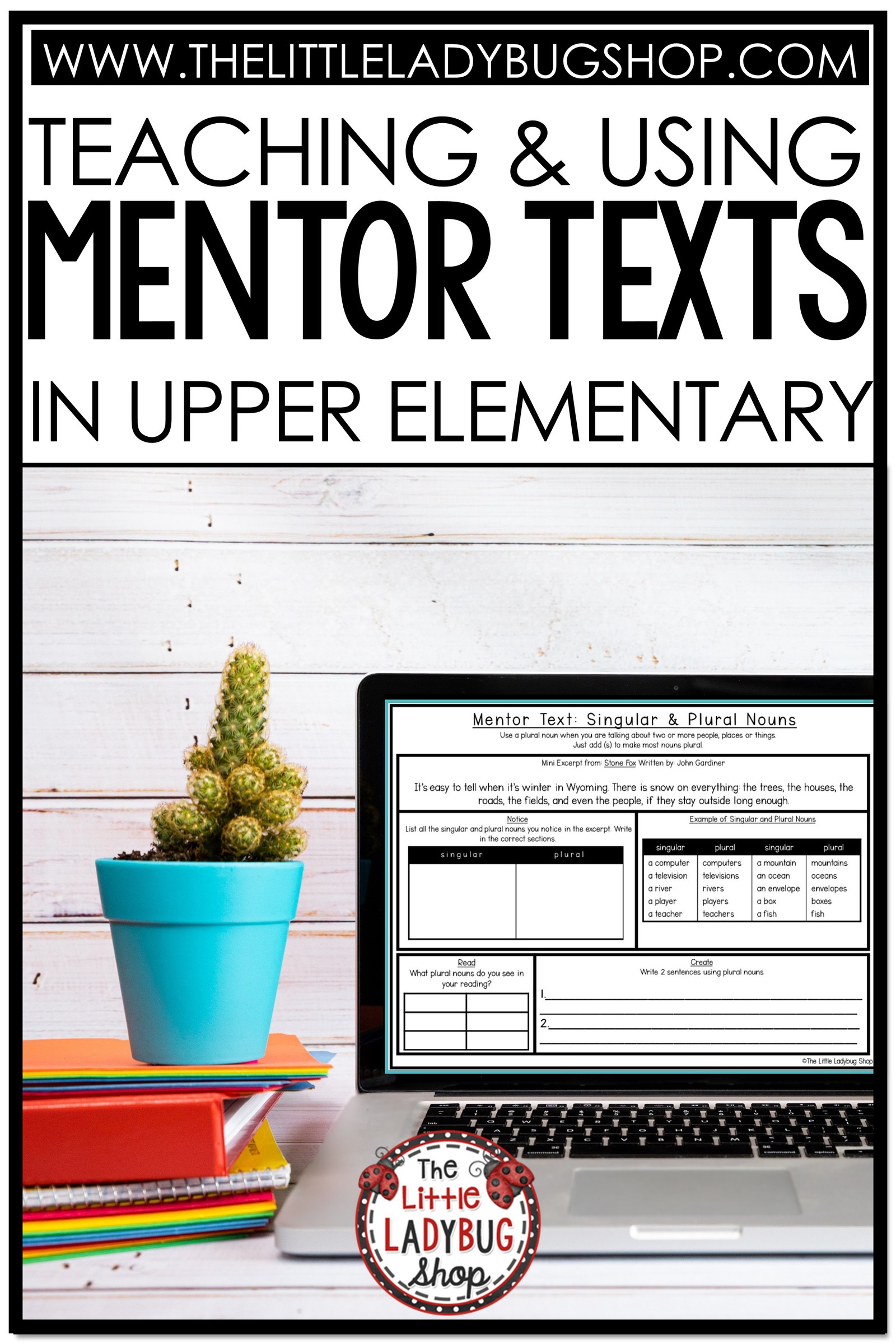 Teaching Writing Using Mentor Texts - The Little Ladybug Shop Teaching Writing Using Mentor Texts - The Little Ladybug Shop