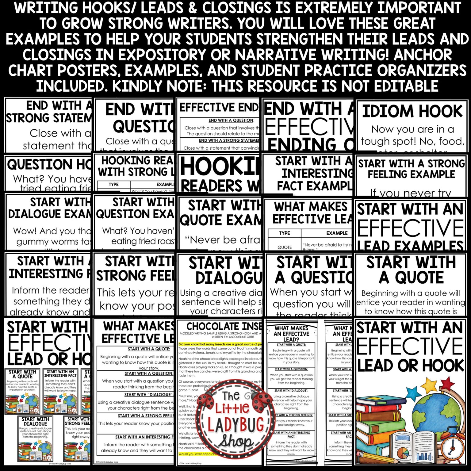 Paragraph Writing Leads Hooks - The Little Ladybug Shop