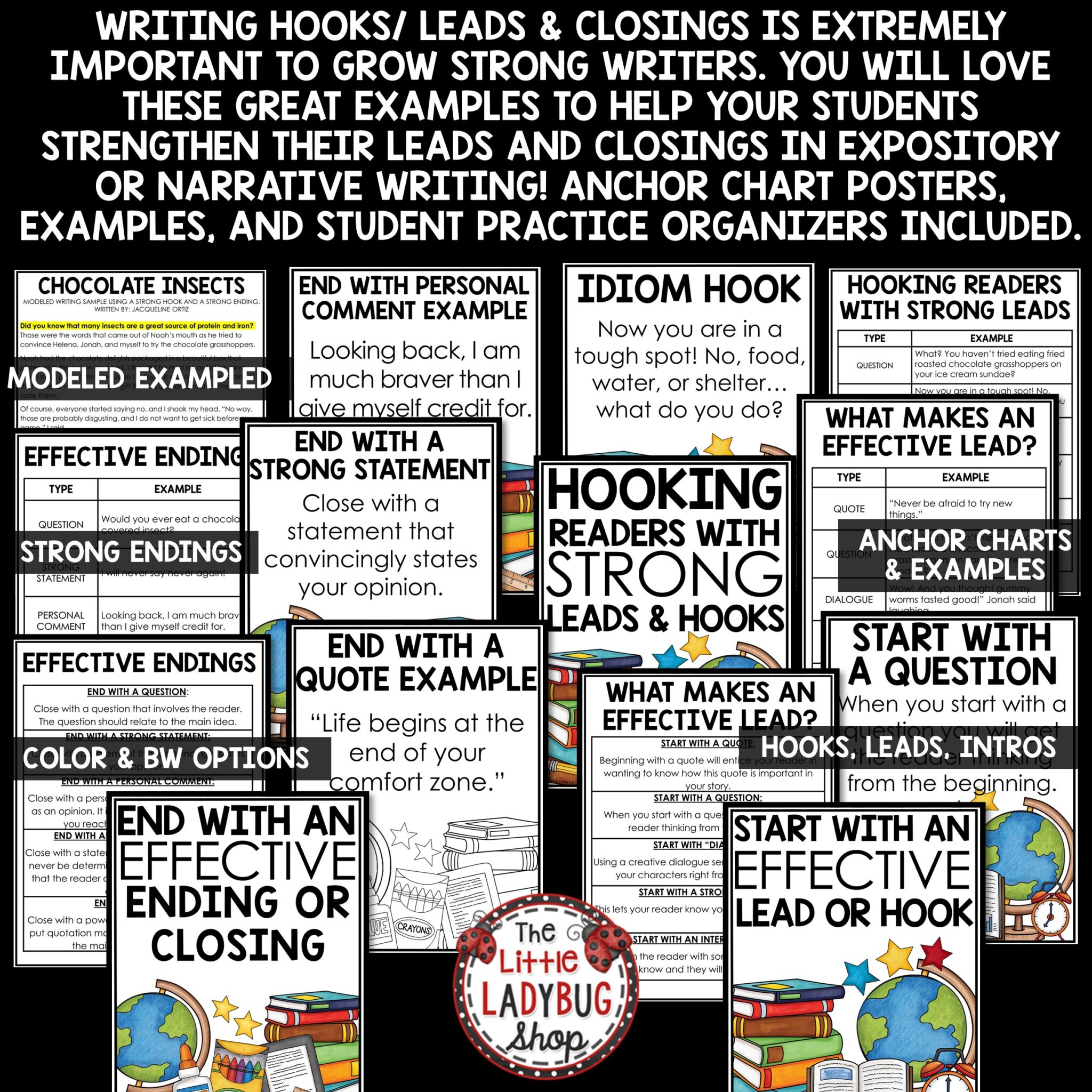 Paragraph Writing Leads Hooks - The Little Ladybug Shop