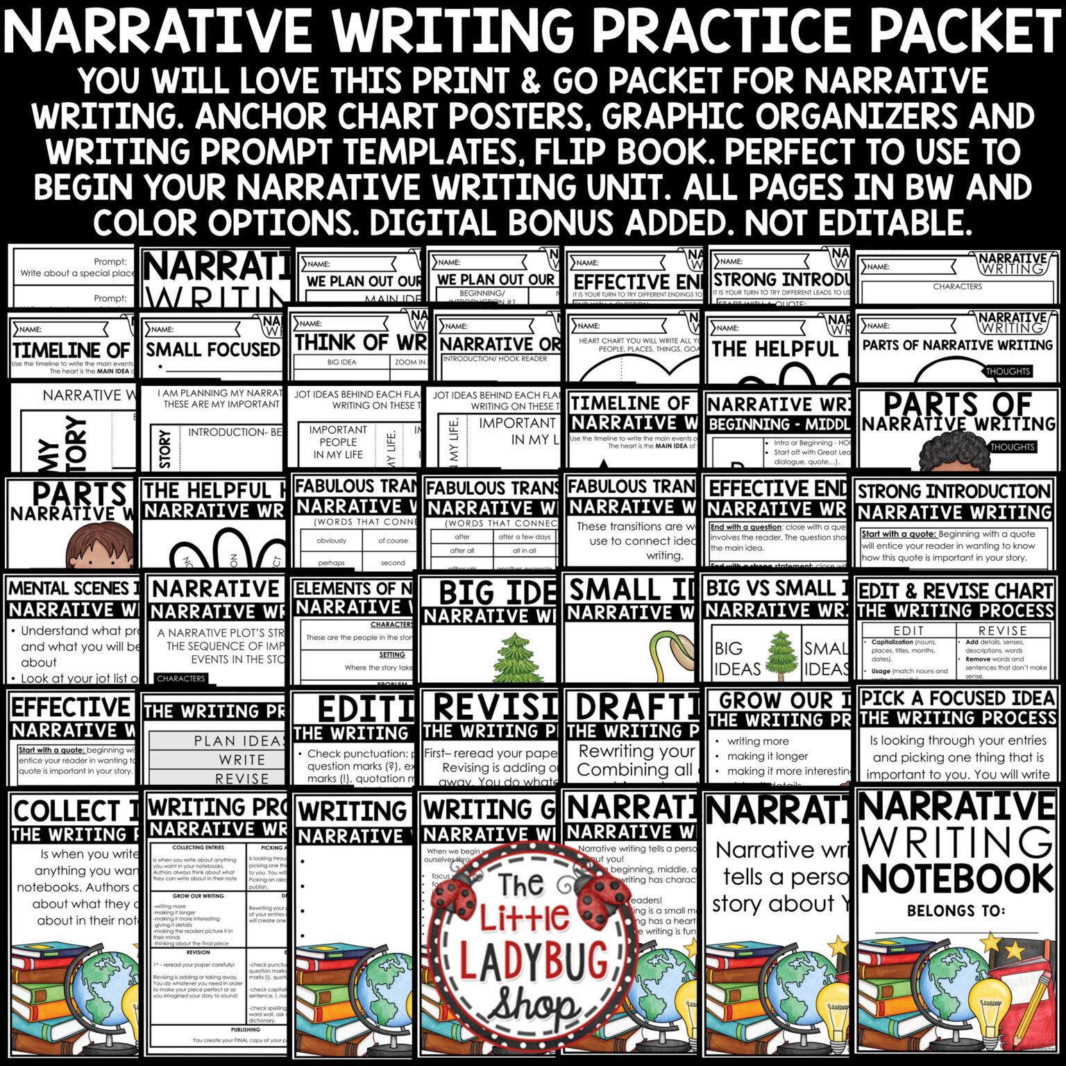 Personal Narrative Writing Prompts Unit - The Little Ladybug Shop