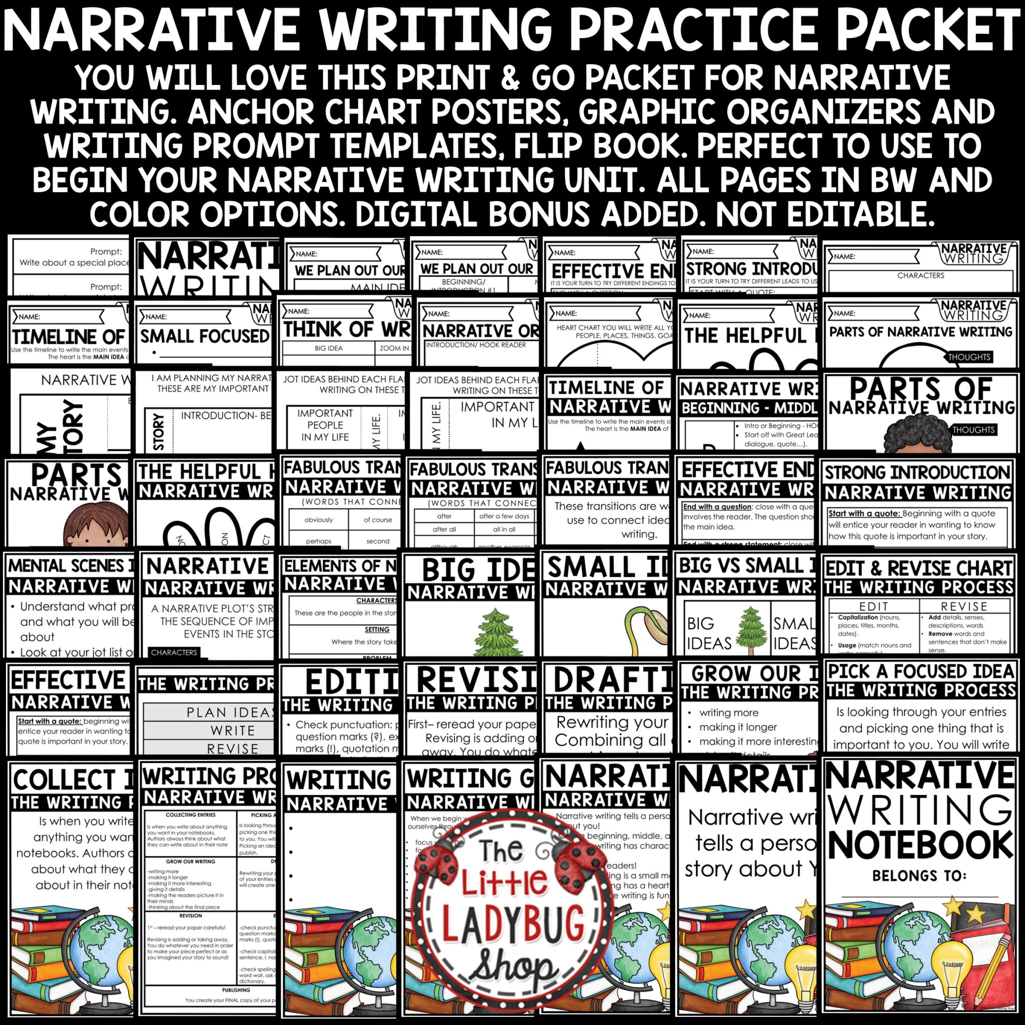 Personal Narrative Writing Prompts Unit - The Little Ladybug Shop