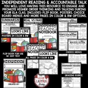 Independent Book Reading Accountable Talk Activities Posters Choice ...