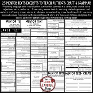 Mentor Text Writing & Grammar Practice - The Little Ladybug Shop