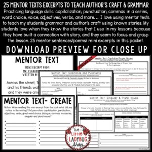 Mentor Text Writing & Grammar Practice - The Little Ladybug Shop
