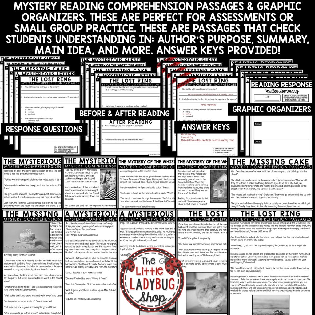 Mystery Reading Comprehension Passages - The Little Ladybug Shop