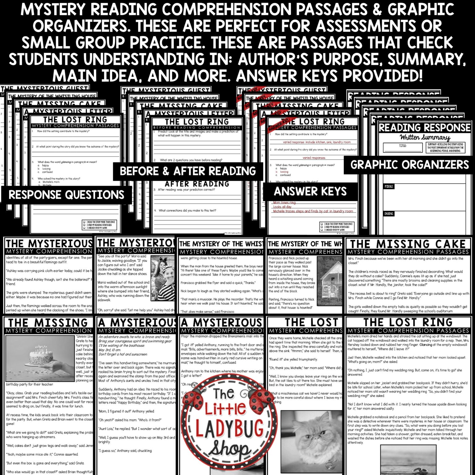 Mystery Reading Comprehension Passages - The Little Ladybug Shop