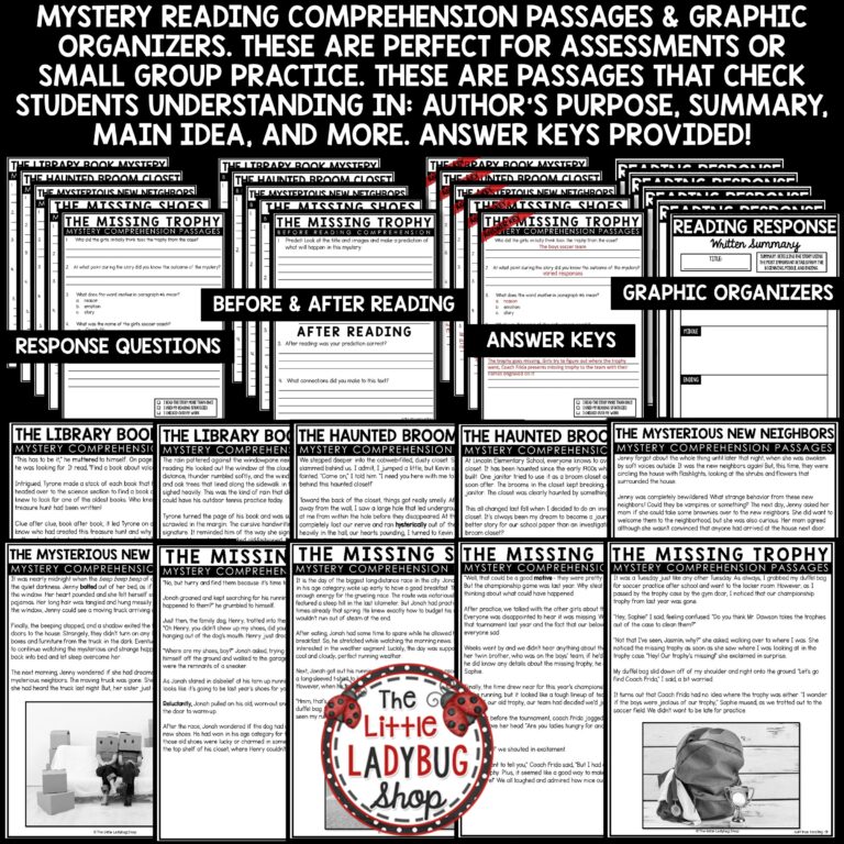 Mysteries Reading Comprehension Passages - The Little Ladybug Shop
