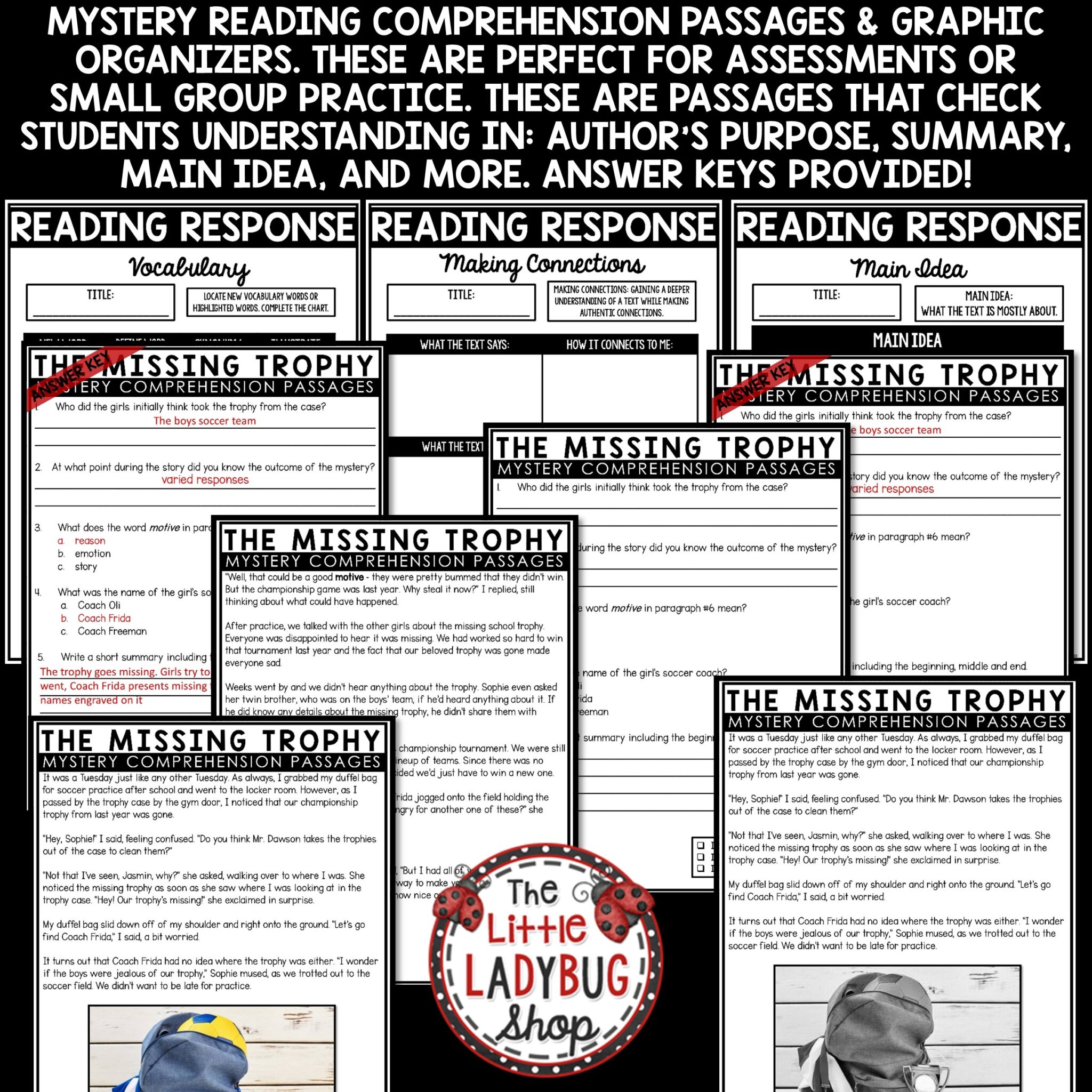 Mysteries Reading Comprehension Passages - The Little Ladybug Shop