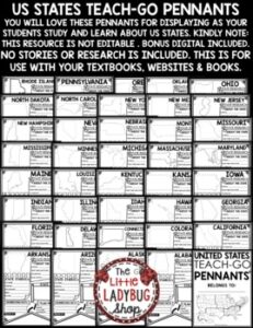 US State Report Research Project Graphic Organizer - The Little Ladybug ...