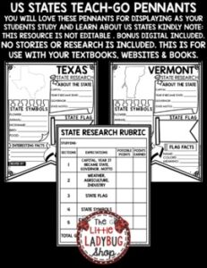 US State Report Research Project Graphic Organizer - The Little Ladybug ...