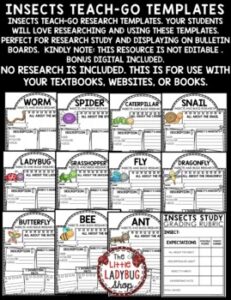Bugs and Insects Activities Spring Science Research Template Bulletin ...