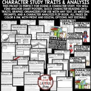Character Study and Traits Activities - The Little Ladybug Shop
