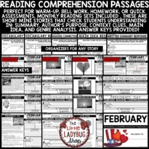 February Reading Comprehension Passages - The Little Ladybug Shop