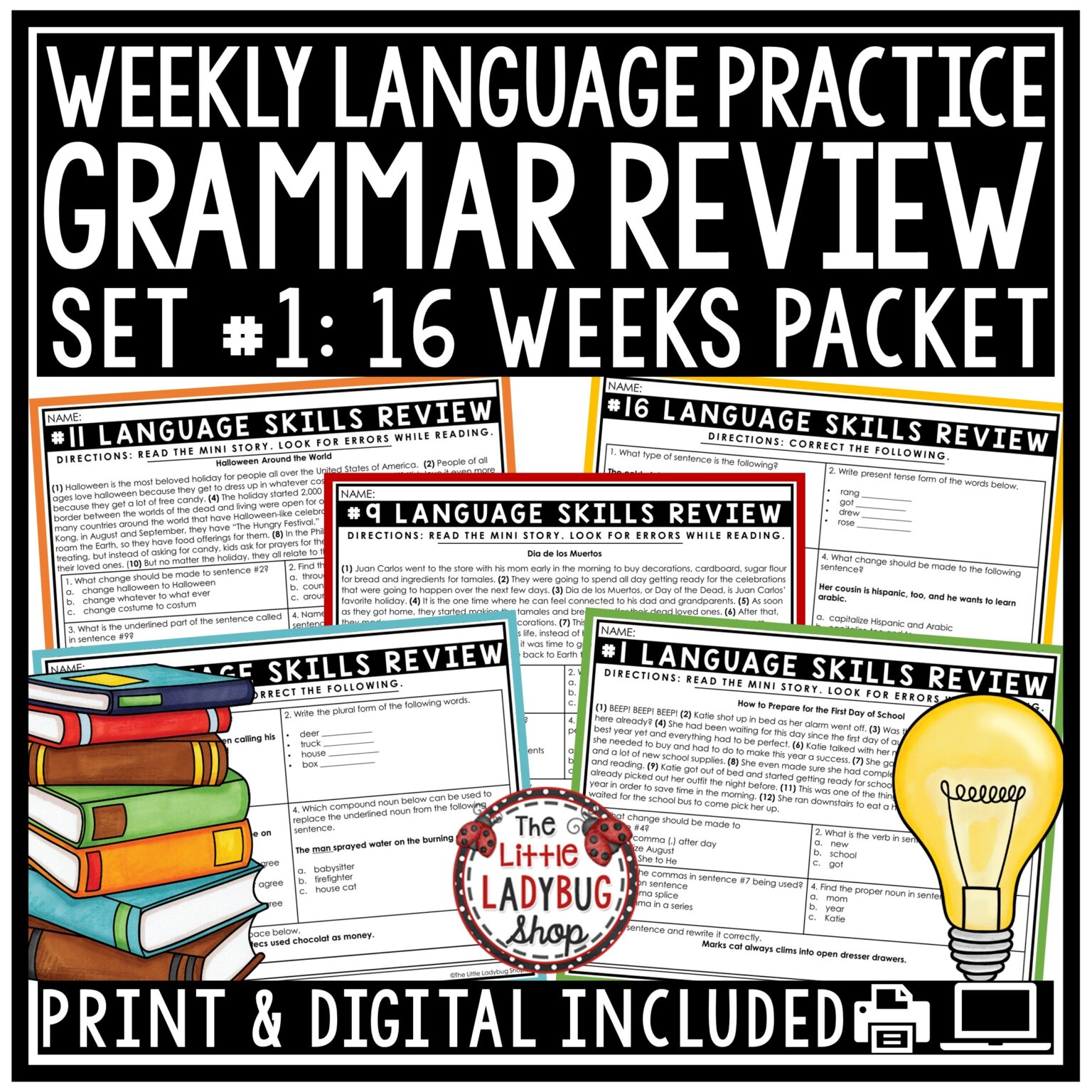 Grammar Language Review Worksheets Practice - The Little Ladybug Shop