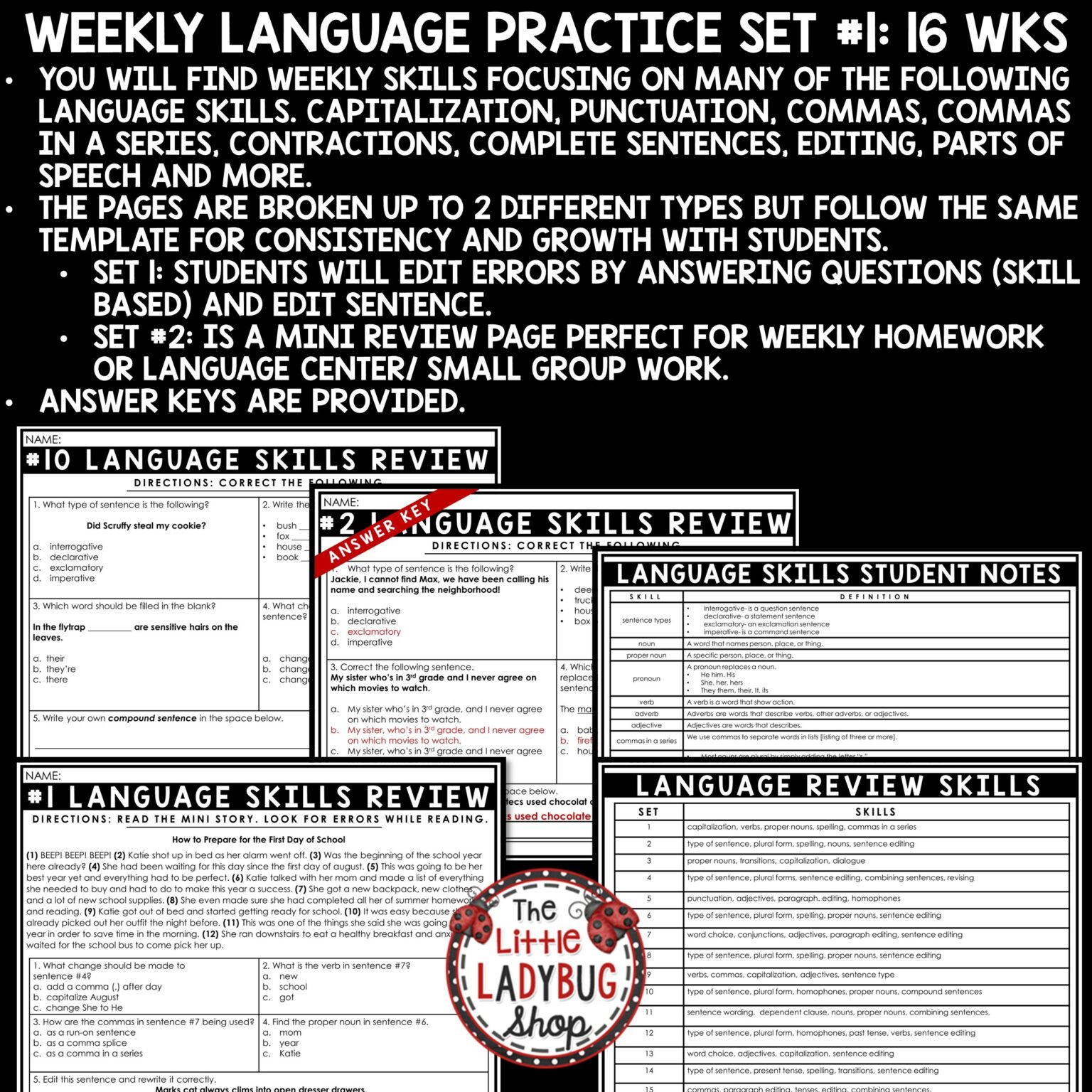 Grammar Language Review Worksheets Practice - The Little Ladybug Shop Grammar Language Review Worksheets Practice - The Little Ladybug Shop