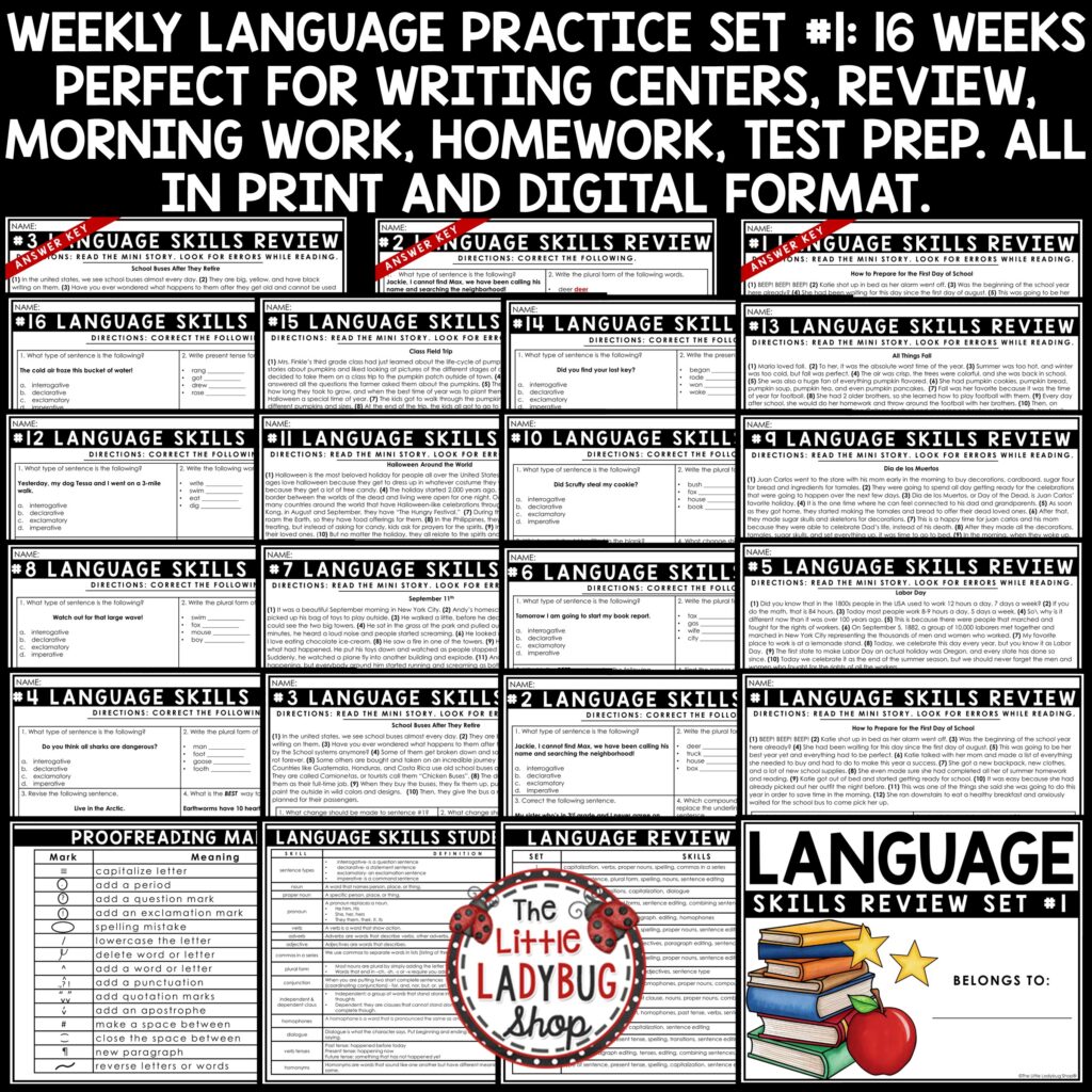 Grammar Language Review Worksheets Practice - The Little Ladybug Shop Grammar Language Review Worksheets Practice - The Little Ladybug Shop