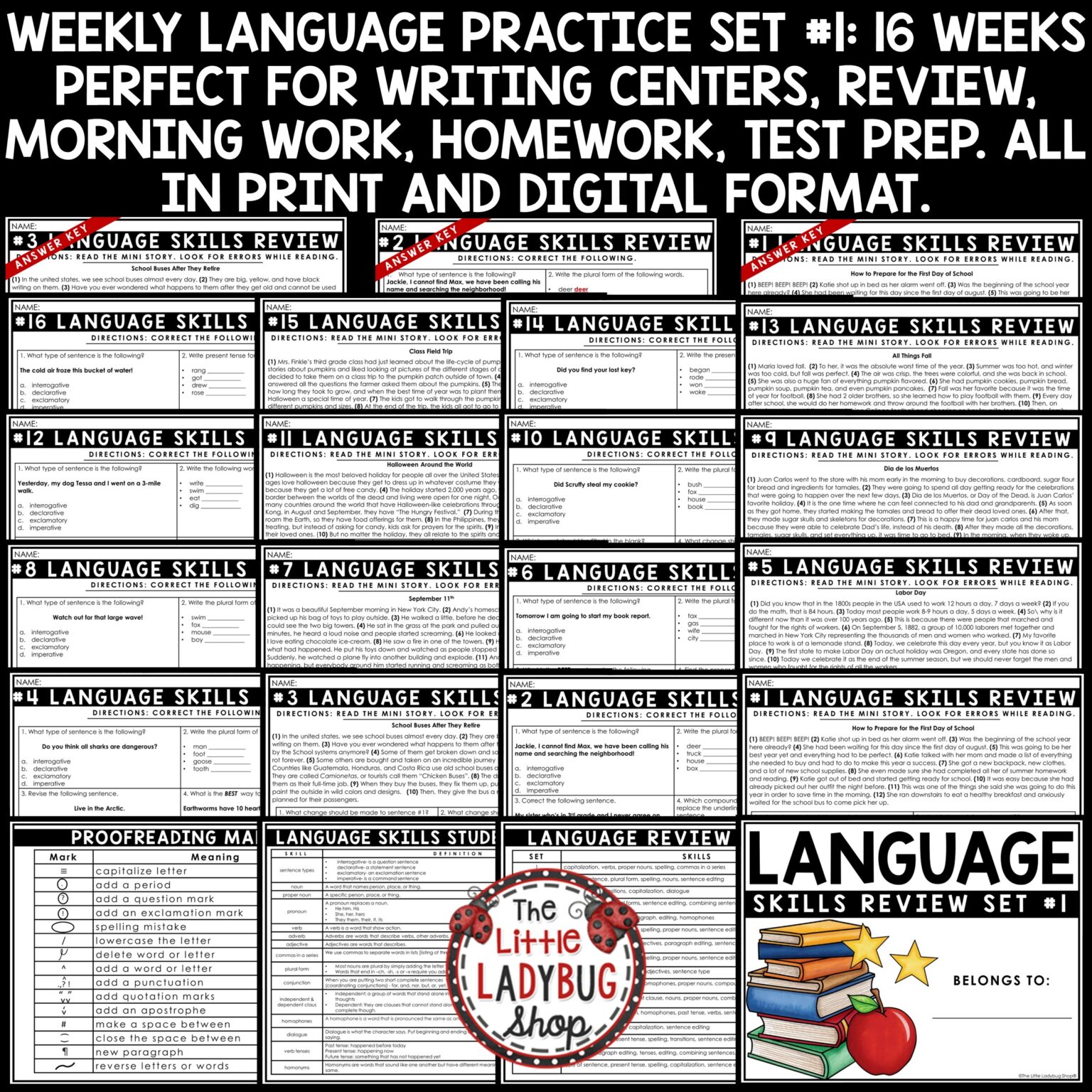 Grammar Language Review Worksheets Practice - The Little Ladybug Shop