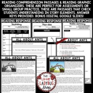 Insects and Bugs April Nonfiction Reading Comprehension Passages and ...