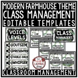 Modern Farmhouse Classroom Decor: Voice Level Charts, Management ...