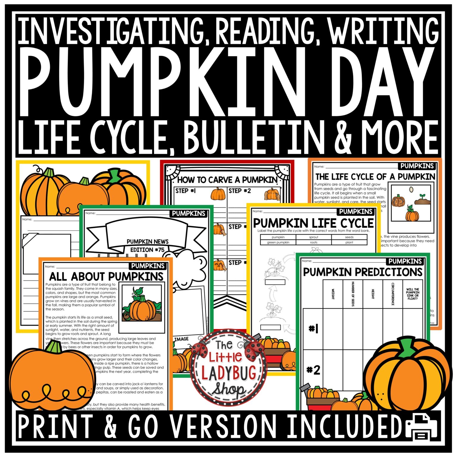 Women's History Month Reading Comprehension Passages - The Little ...