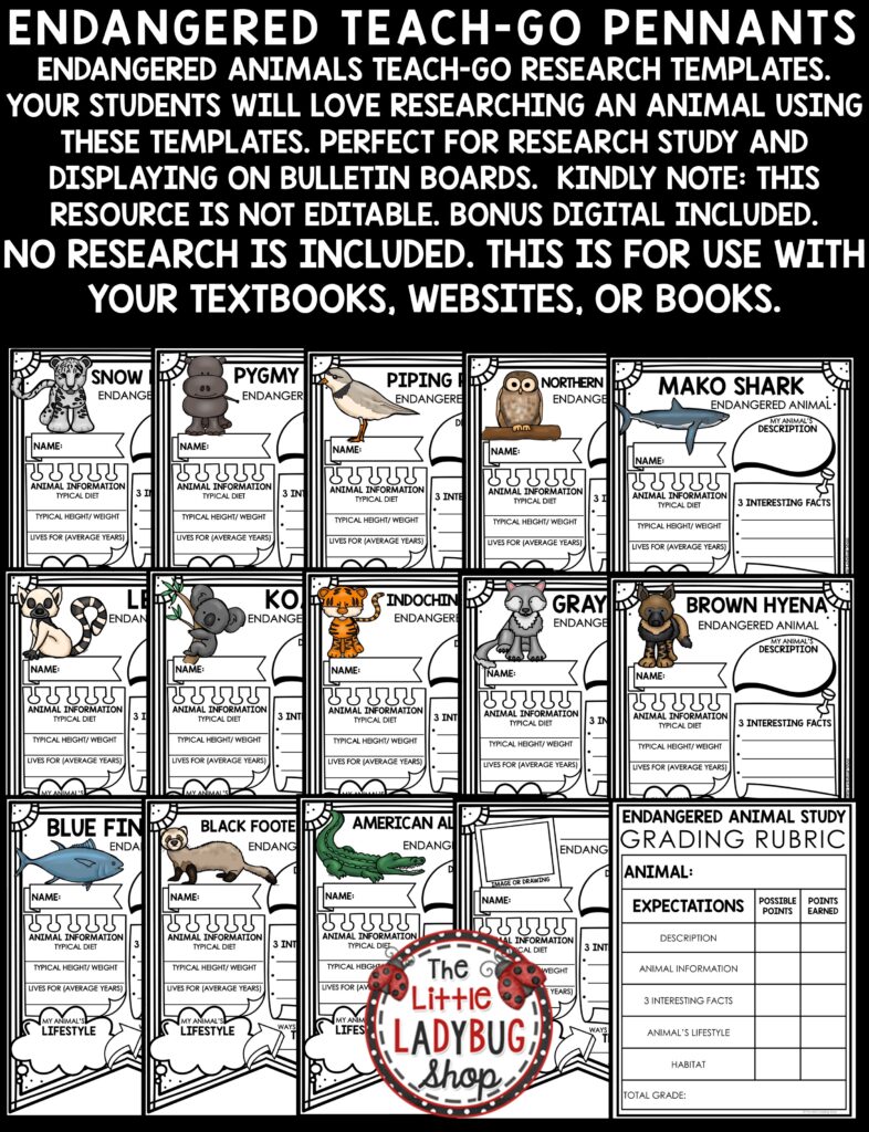 Endangered Animals Species Research Project Bulletin Board - The Little ...