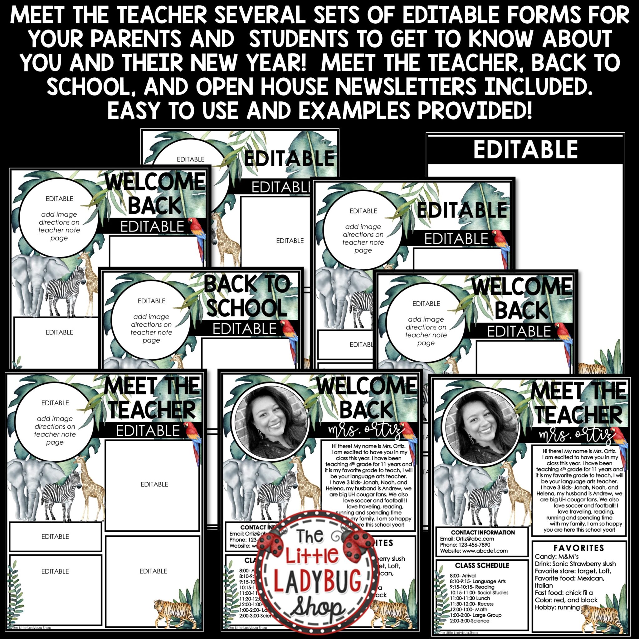 Tropical Jungle Meet the Teacher Newsletter Editable Template - The ...
