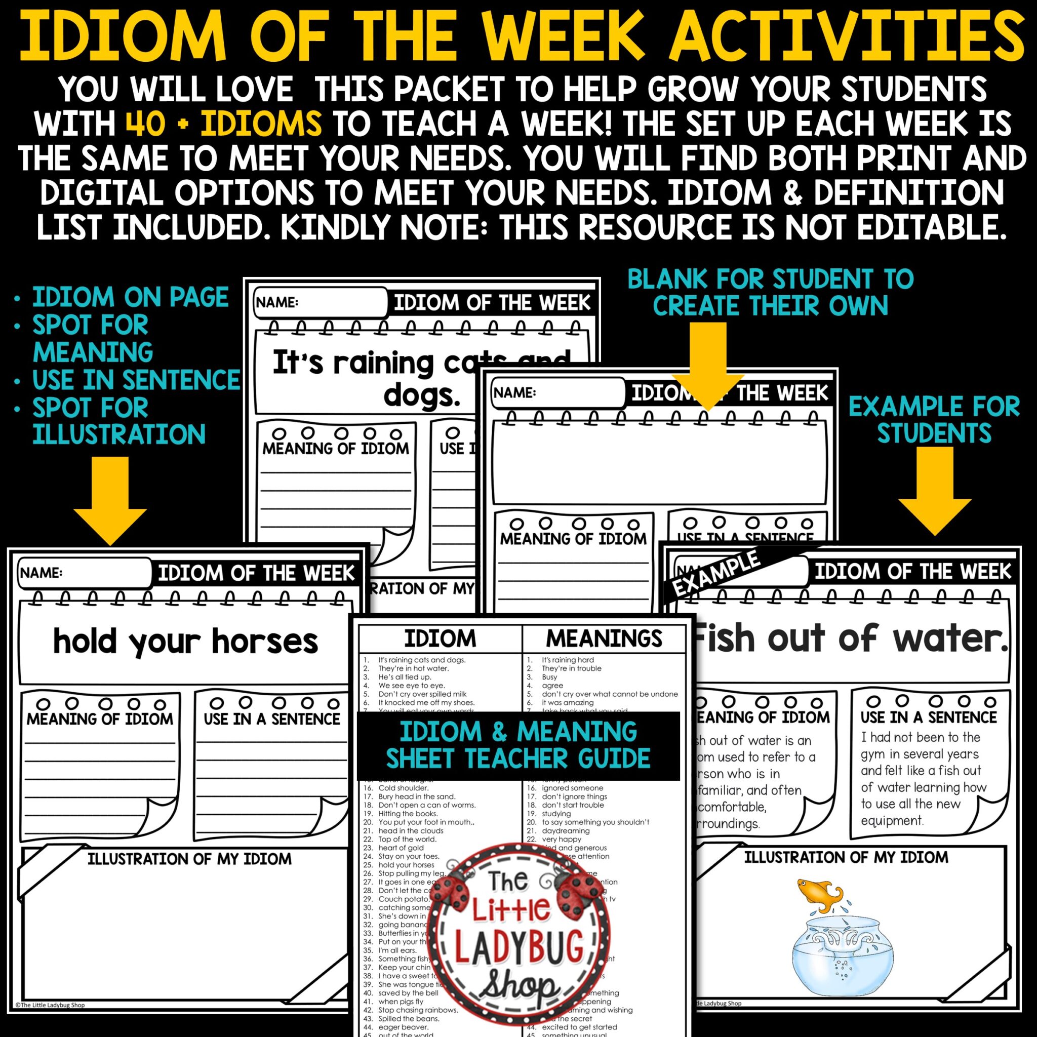 Idioms of the Week Figurative Language Activities - The Little Ladybug Shop