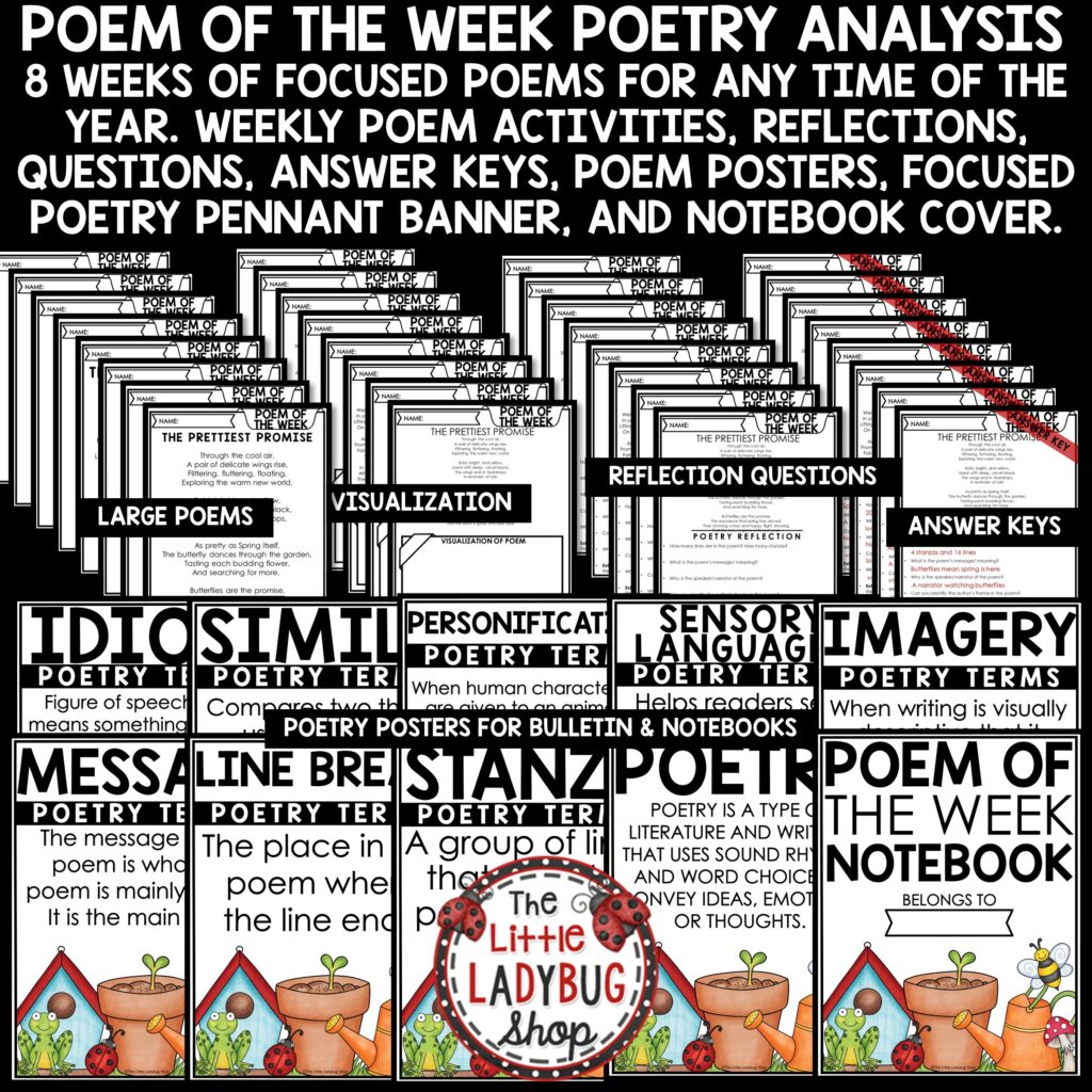 Spring Poetry Analysis Poem of the Week - The Little Ladybug Shop