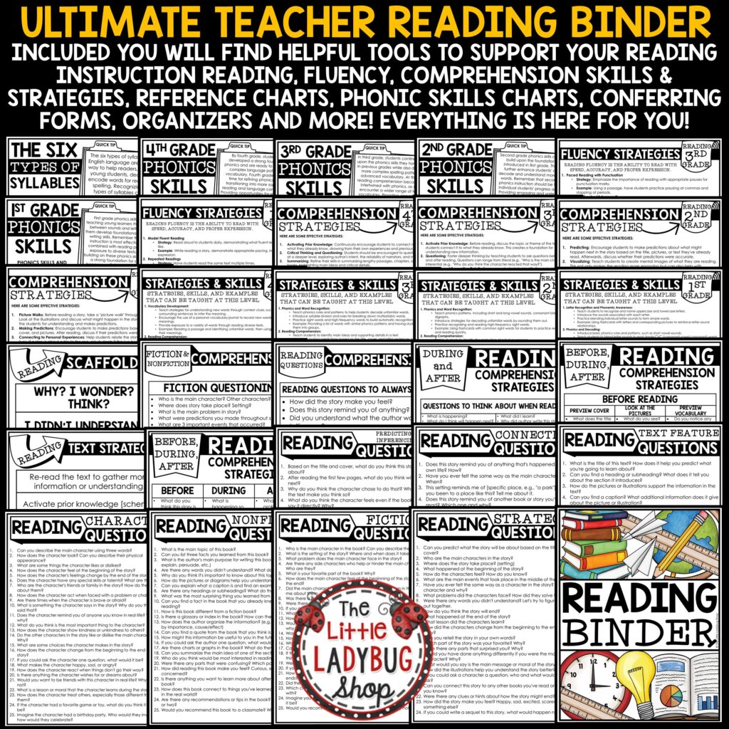 Reading Intervention Small Group Binder - The Little Ladybug Shop