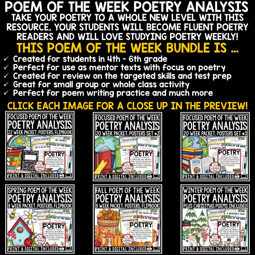 Poetry Analysis Poem of the Week - The Little Ladybug Shop