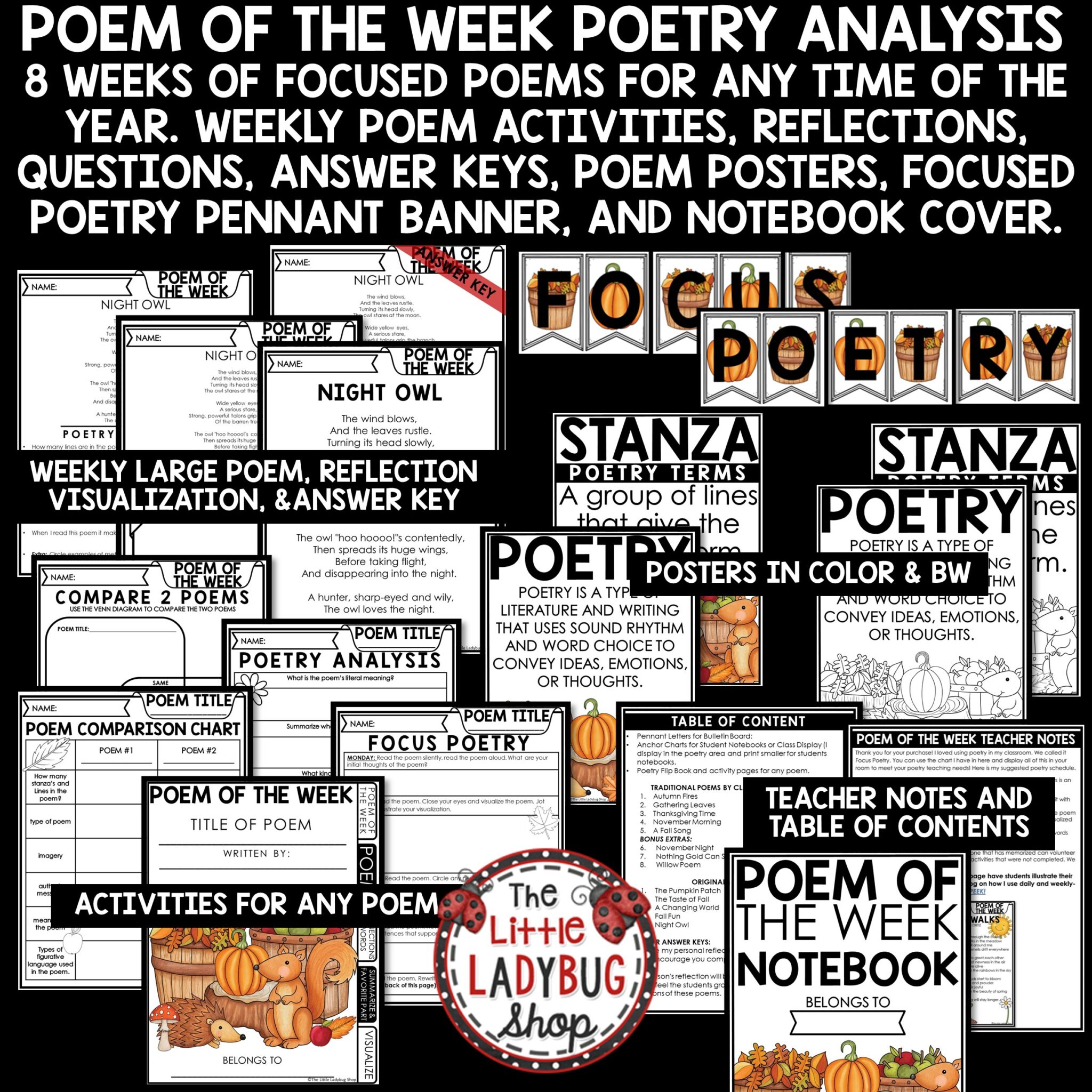 Poetry Analysis Poem of the Week - The Little Ladybug Shop
