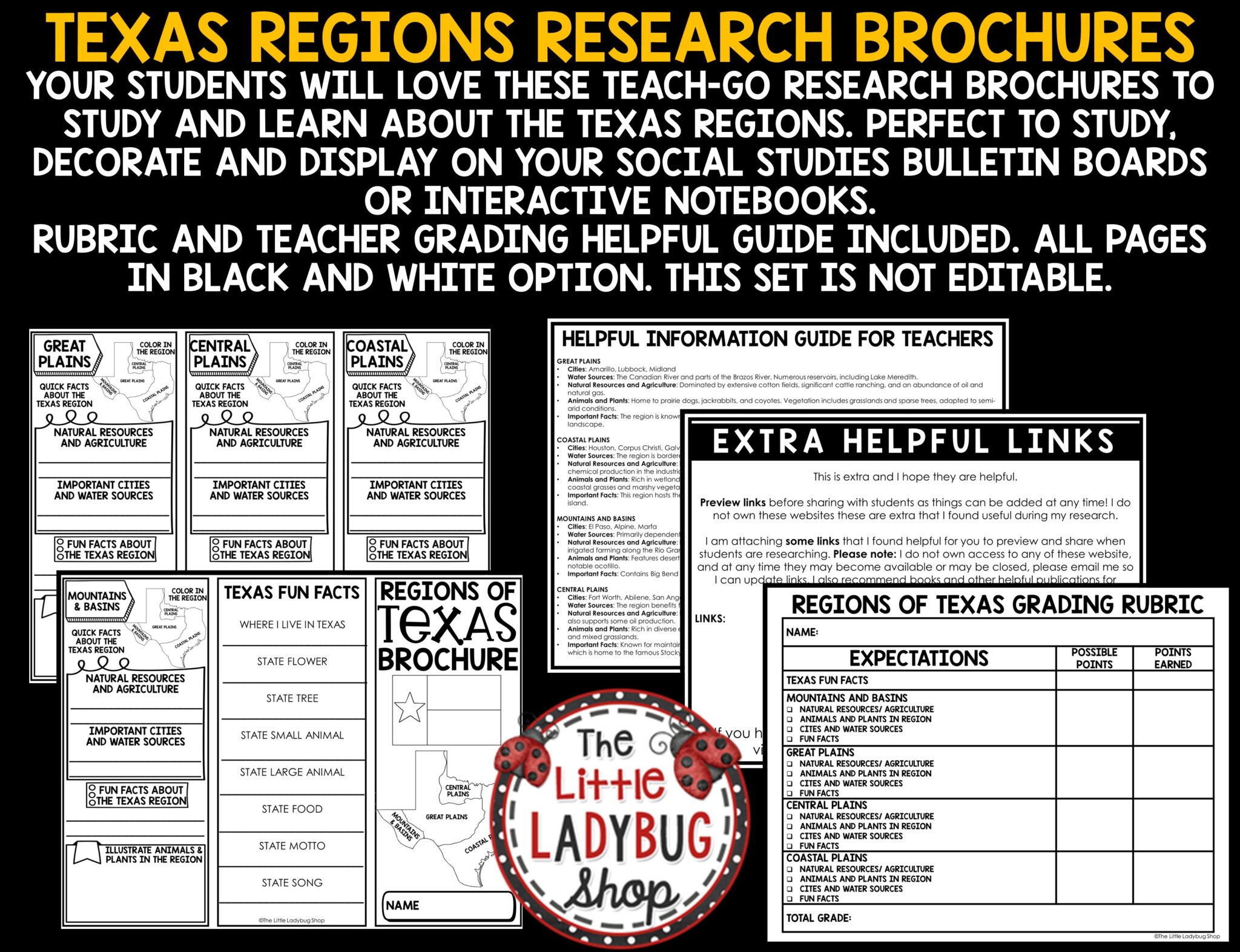 Regions of Texas Map Activity Research Template - The Little Ladybug Shop