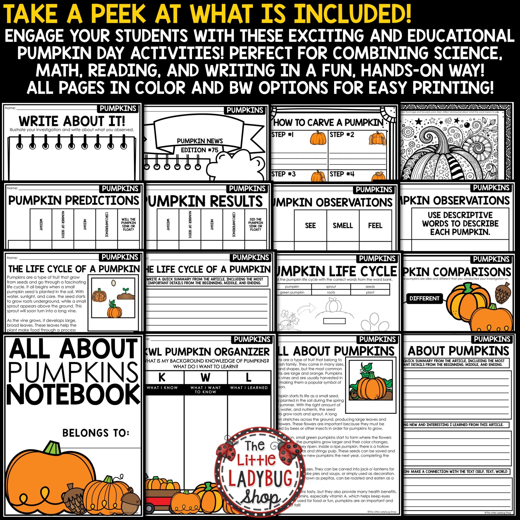 Pumpkin Day Activities How to Carve a Pumpkin Investigation - The ...