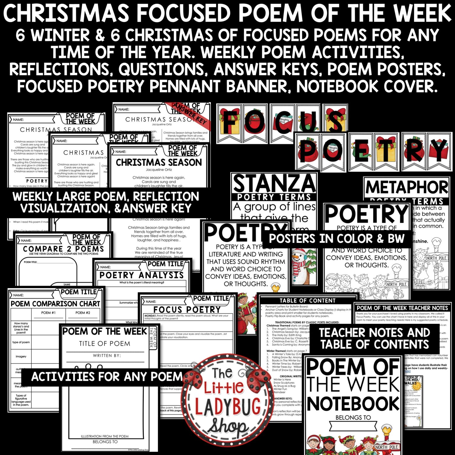 Winter Poetry Analysis Poem of the Week - The Little Ladybug Shop