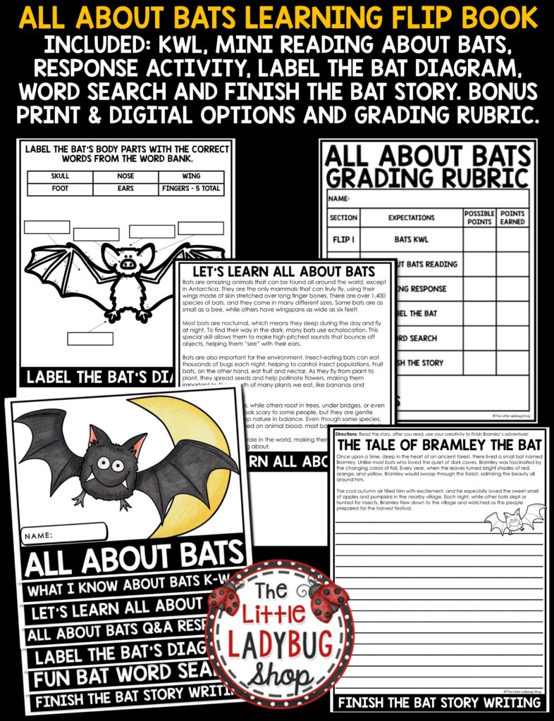 All About Bats Activities Writing Diagram Reading Comprehension - The ...