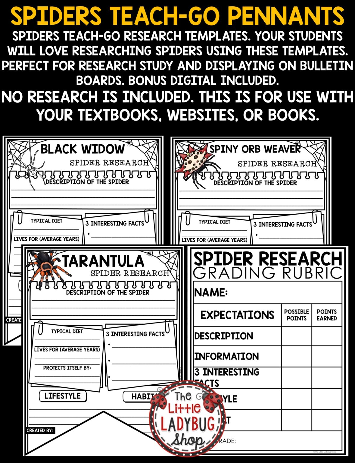 Spiders Research Project Templates Arachnids Bulletin Board Ideas - The ...