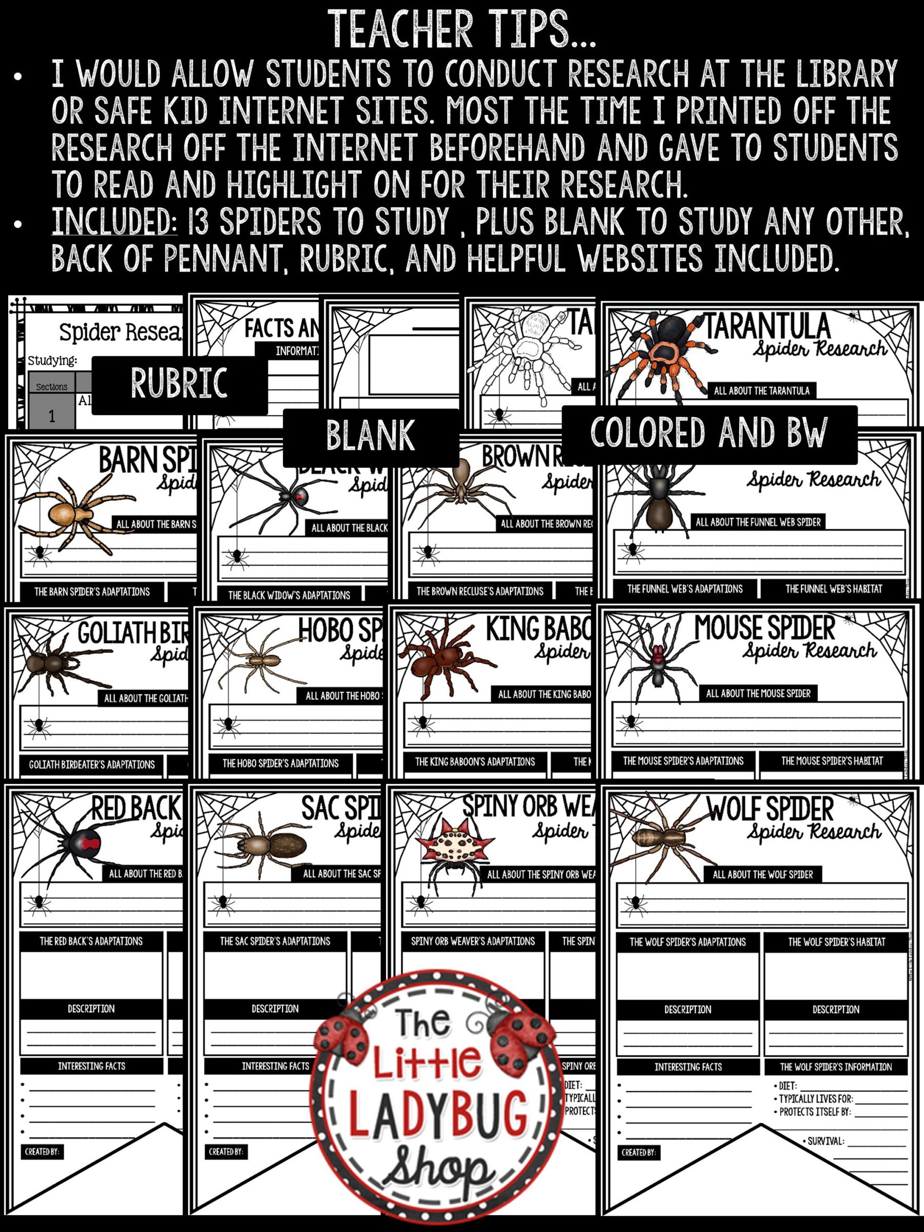 Spiders Research Project & Fall Activities - Arachnids Study Teach- Go ...
