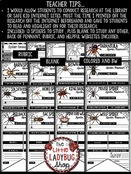 Spiders Research Project & Fall Activities - Arachnids Study Teach- Go ...