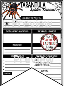 Spiders Research Project & Fall Activities - Arachnids Study Teach- Go ...