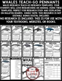 Whales Ocean Animals Research Activities Report Templates Science ...