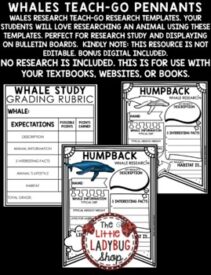 Whales Ocean Animals Research Activities Report Templates Science ...