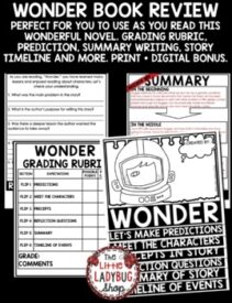 Wonder Aligned Novel Study R.J. Palacio Book Review Activities ...