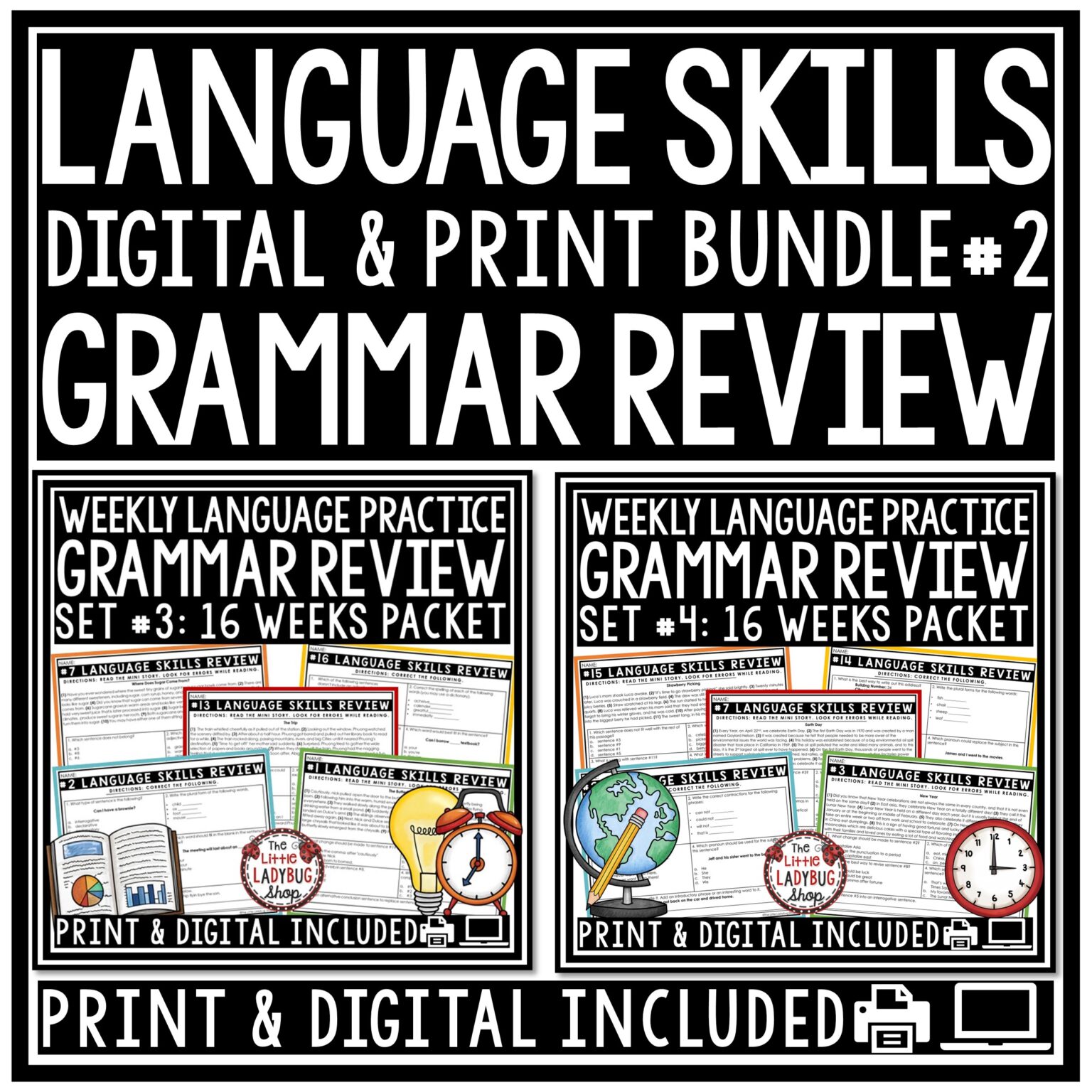 Language Grammar Review Practice - The Little Ladybug Shop