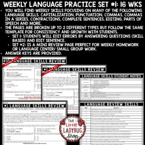 Grammar Language Review Worksheets Practice - The Little Ladybug Shop