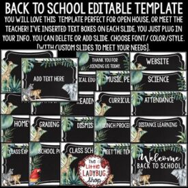 Virtual Meet the Teacher Template Editable: Back to School Google Slide ...