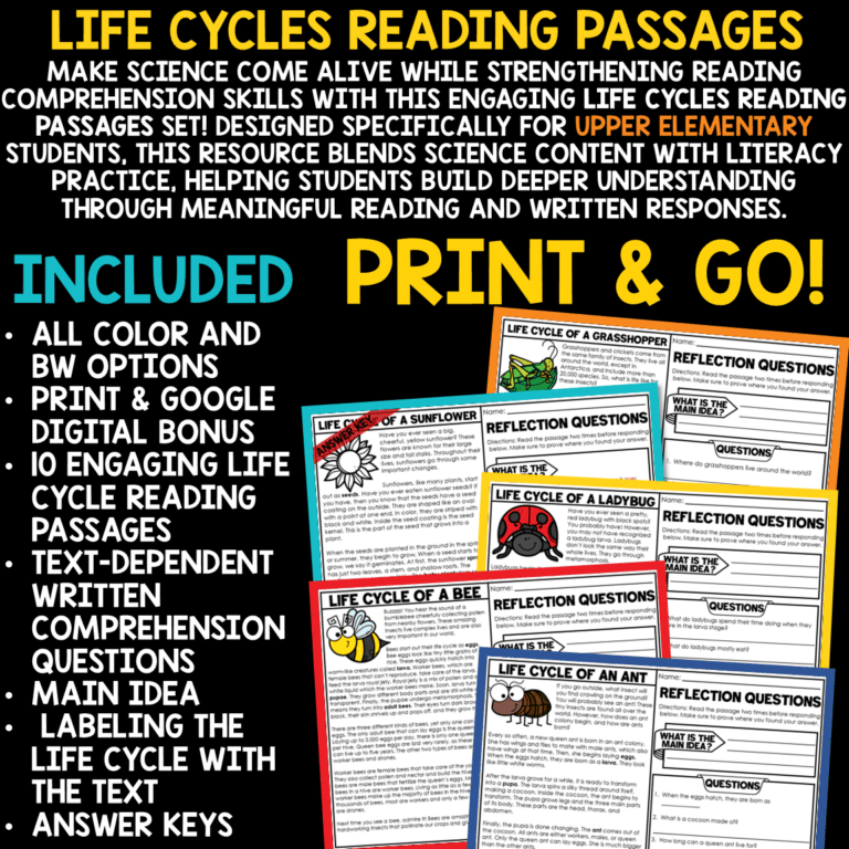 Ladybug Bee Life Cycle of a Butterfly Frog Spring Reading Passages ...