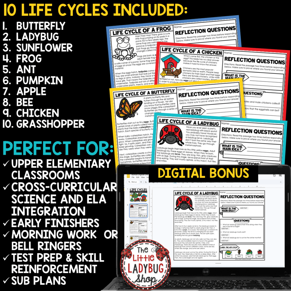 Ladybug Bee Life Cycle of a Butterfly Frog Spring Reading Passages ...